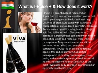 Indus viva ppt | PPTX
