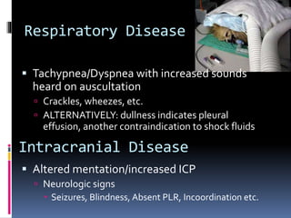 Indy vet hypovolemic shock | PPT