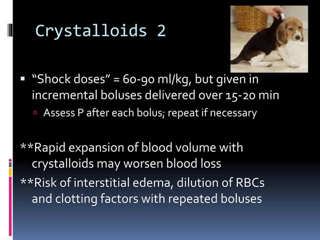 Indy vet hypovolemic shock | PPT