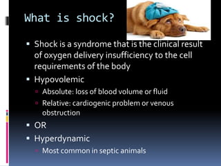 Indy vet hypovolemic shock | PPT