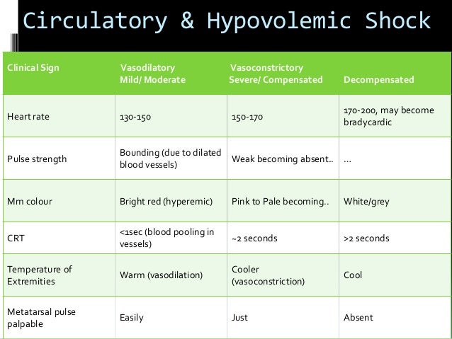 Indy vet hypovolemic shock