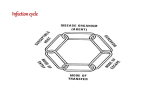 Role of Nurse Infection control | PPTX