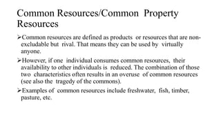 Inefficiency and Welfare loss.pptx