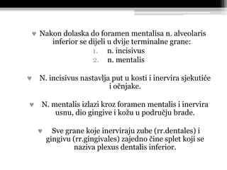 Inervacija cavuma oris | PPT