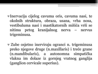 Inervacija cavuma oris | PPT