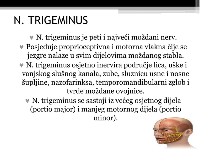Inervacija cavuma oris | PPT