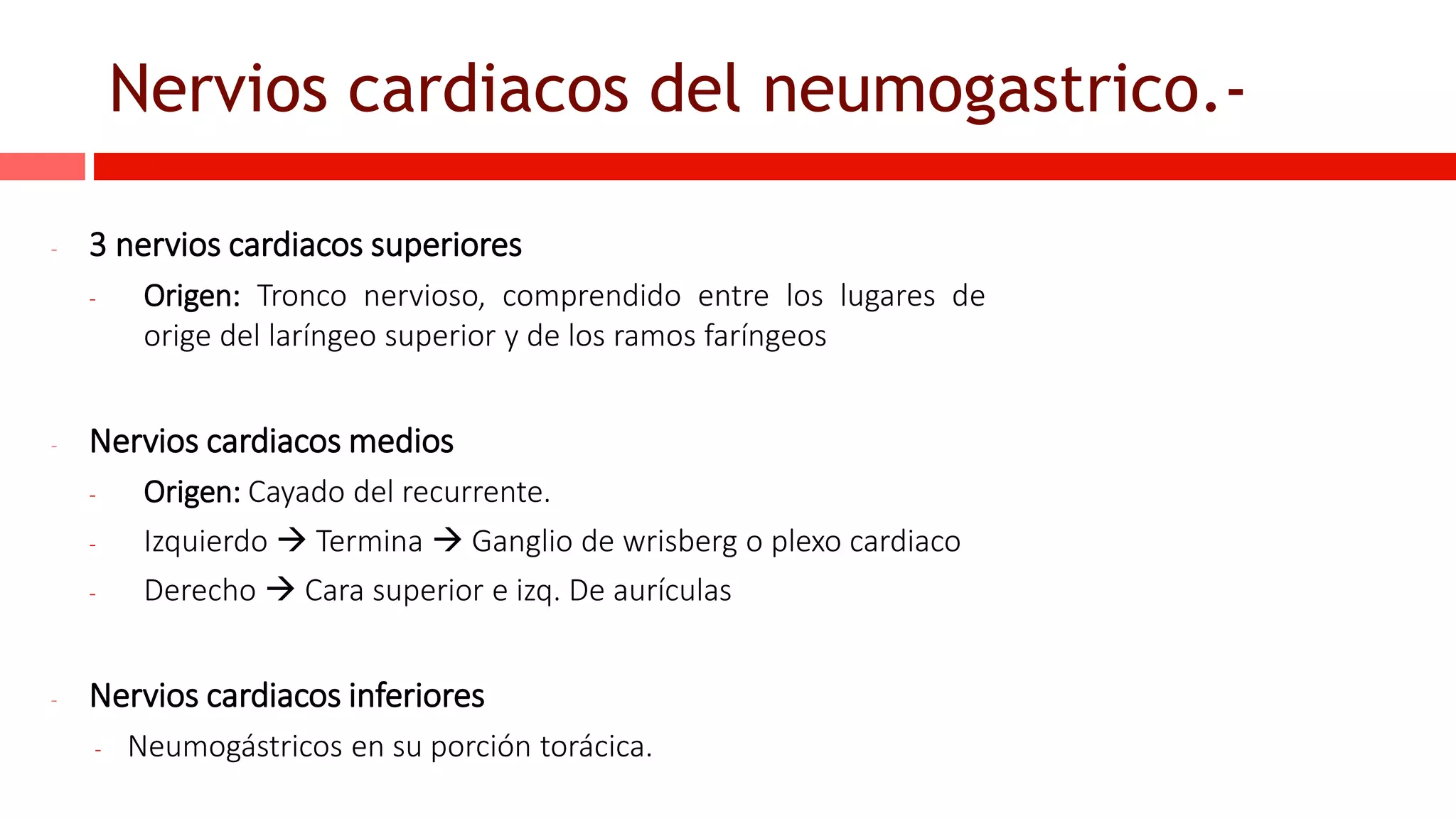 Inervación del corazón | PPTX