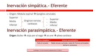 Inervación del corazón | PPTX