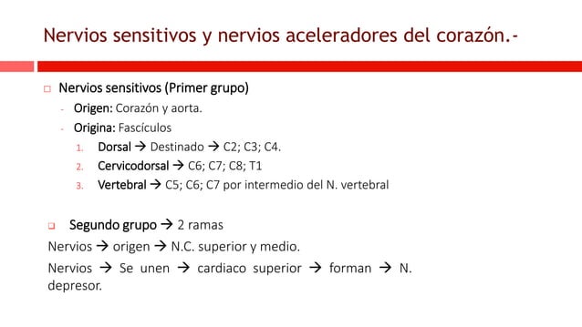 Inervación del corazón | PPTX