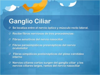 Inervacion ocular | PPTX