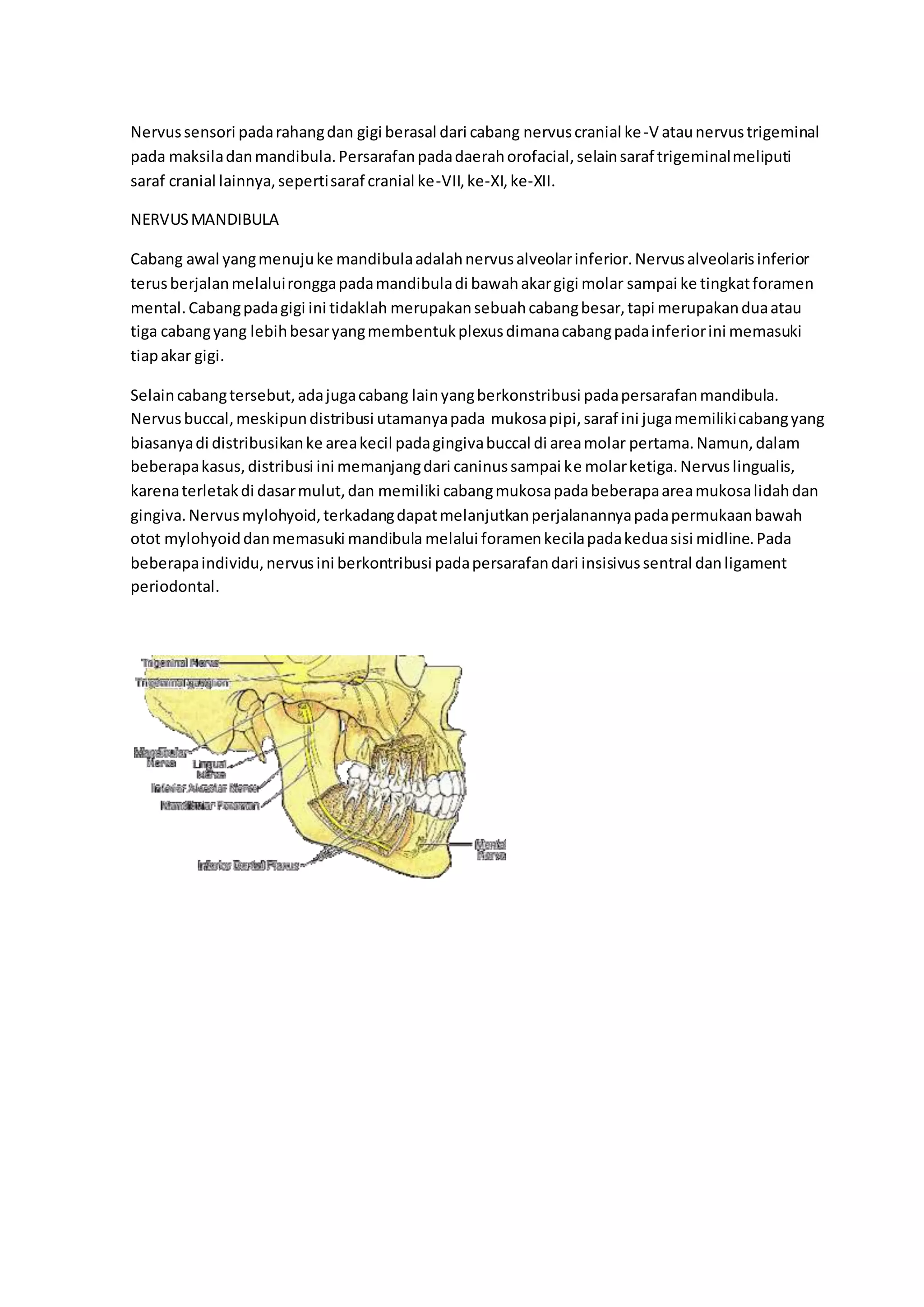 Inervasi mandibula | DOCX