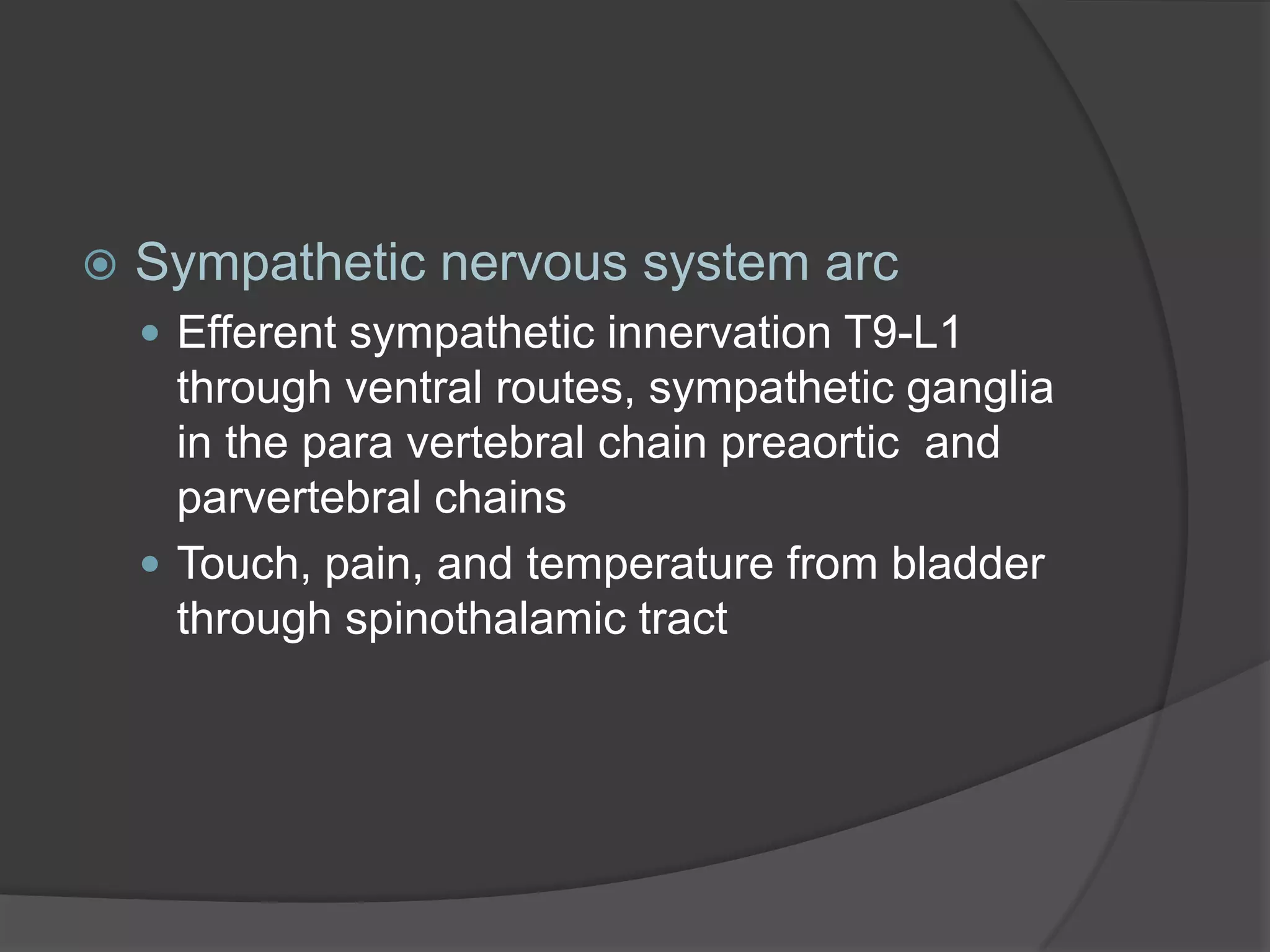 bladder and its dysfunction | PPTX