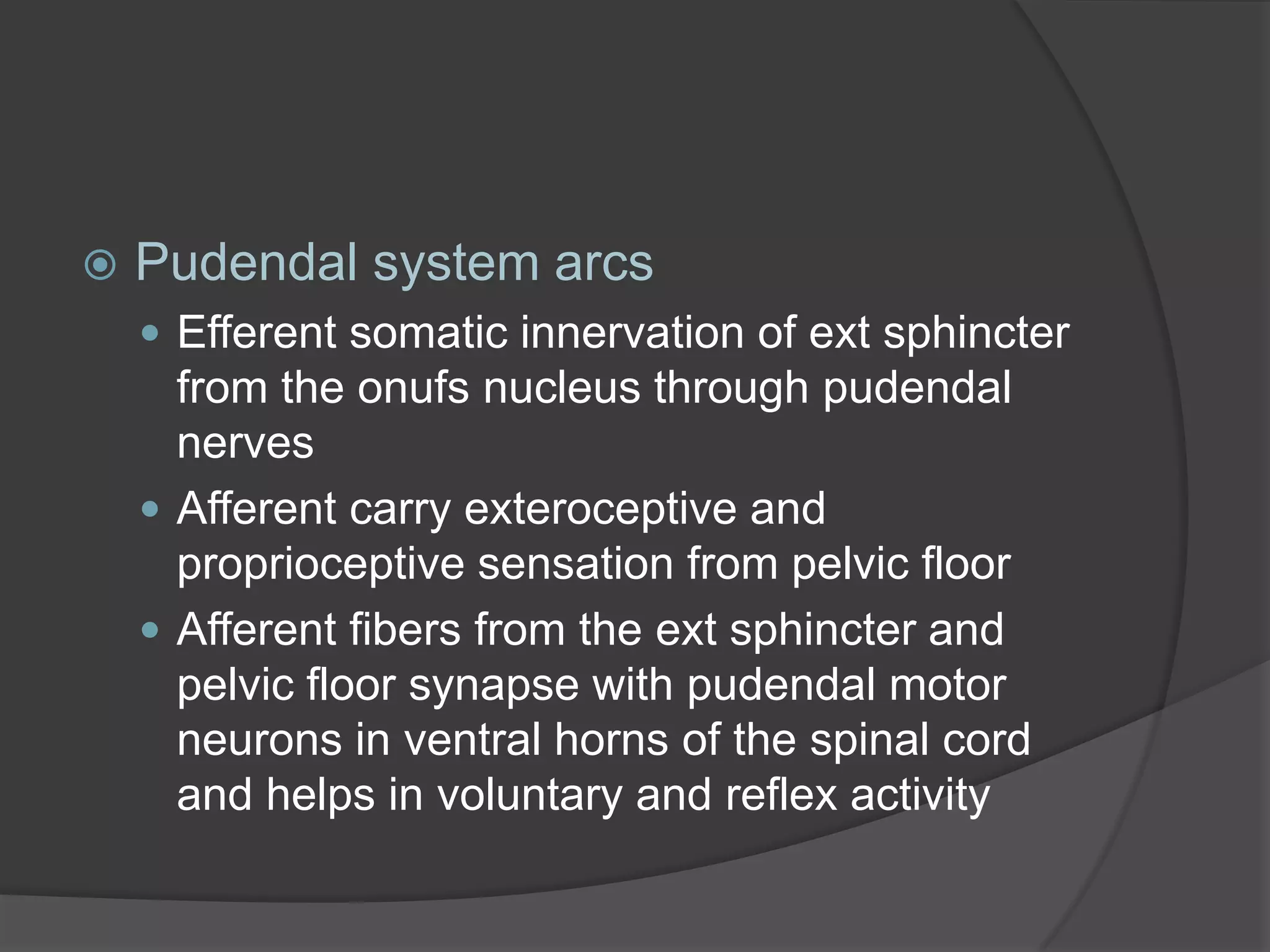 bladder and its dysfunction | PPTX