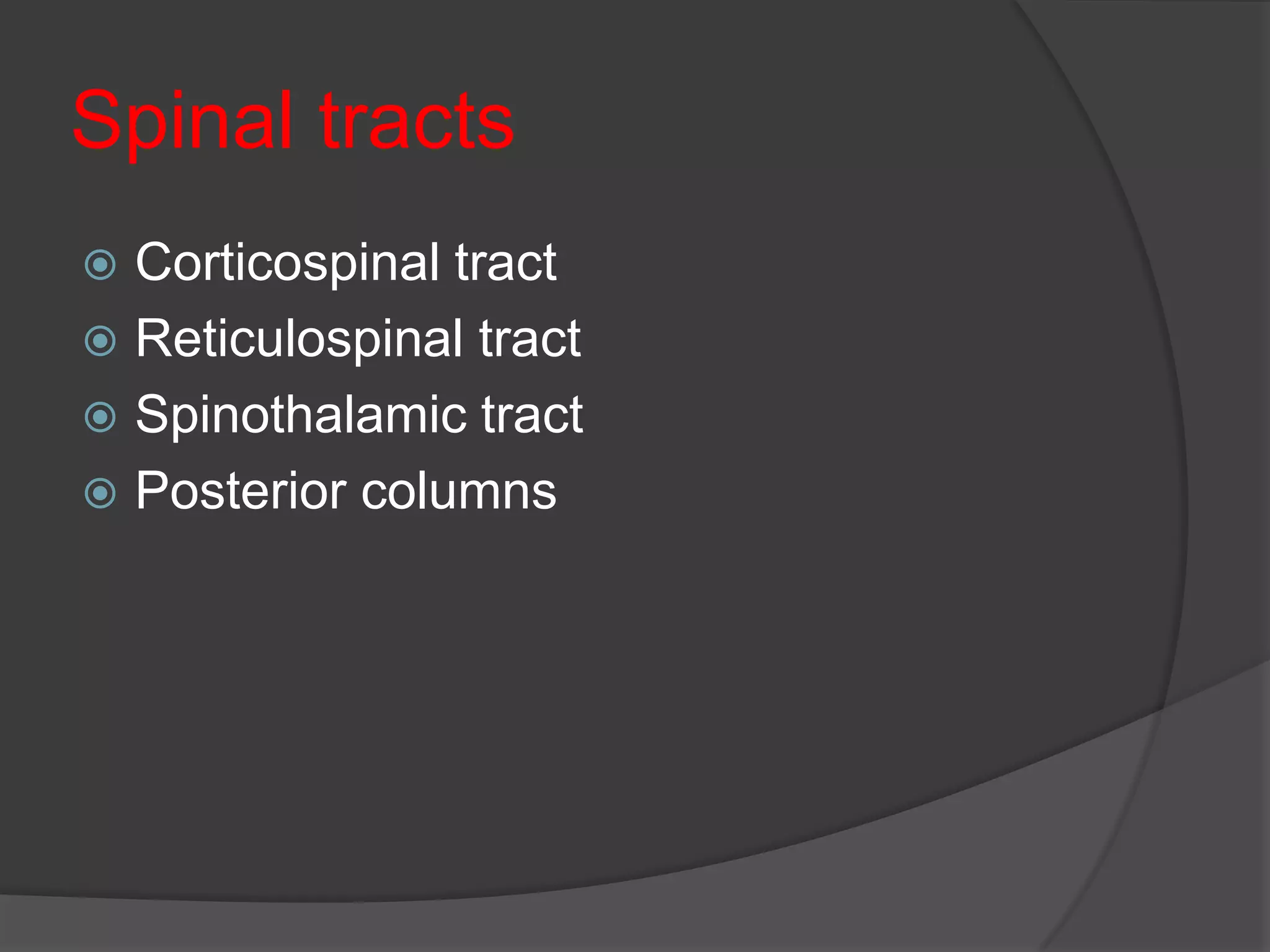 bladder and its dysfunction | PPTX