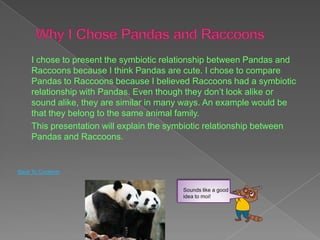 Ines Pandas And Raccoons Final | PPTX