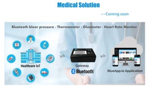 iNet-IoT company introduction | PDF