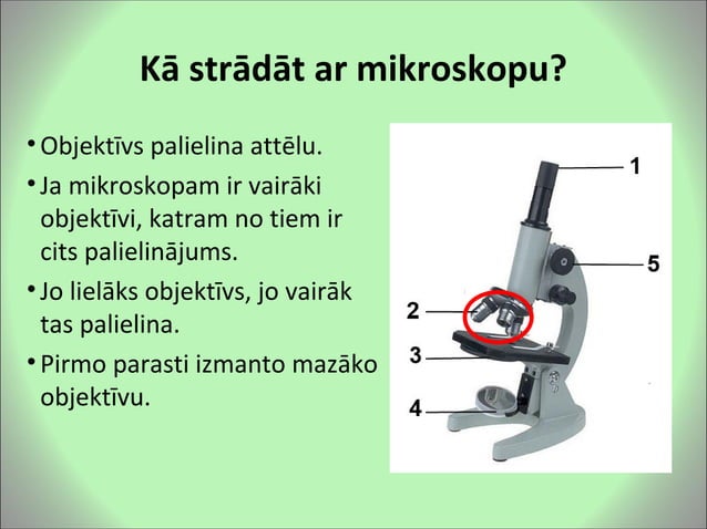 Mikroskops | PPT
