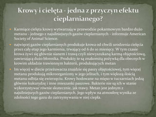 Inf1 | PPT | Free Download