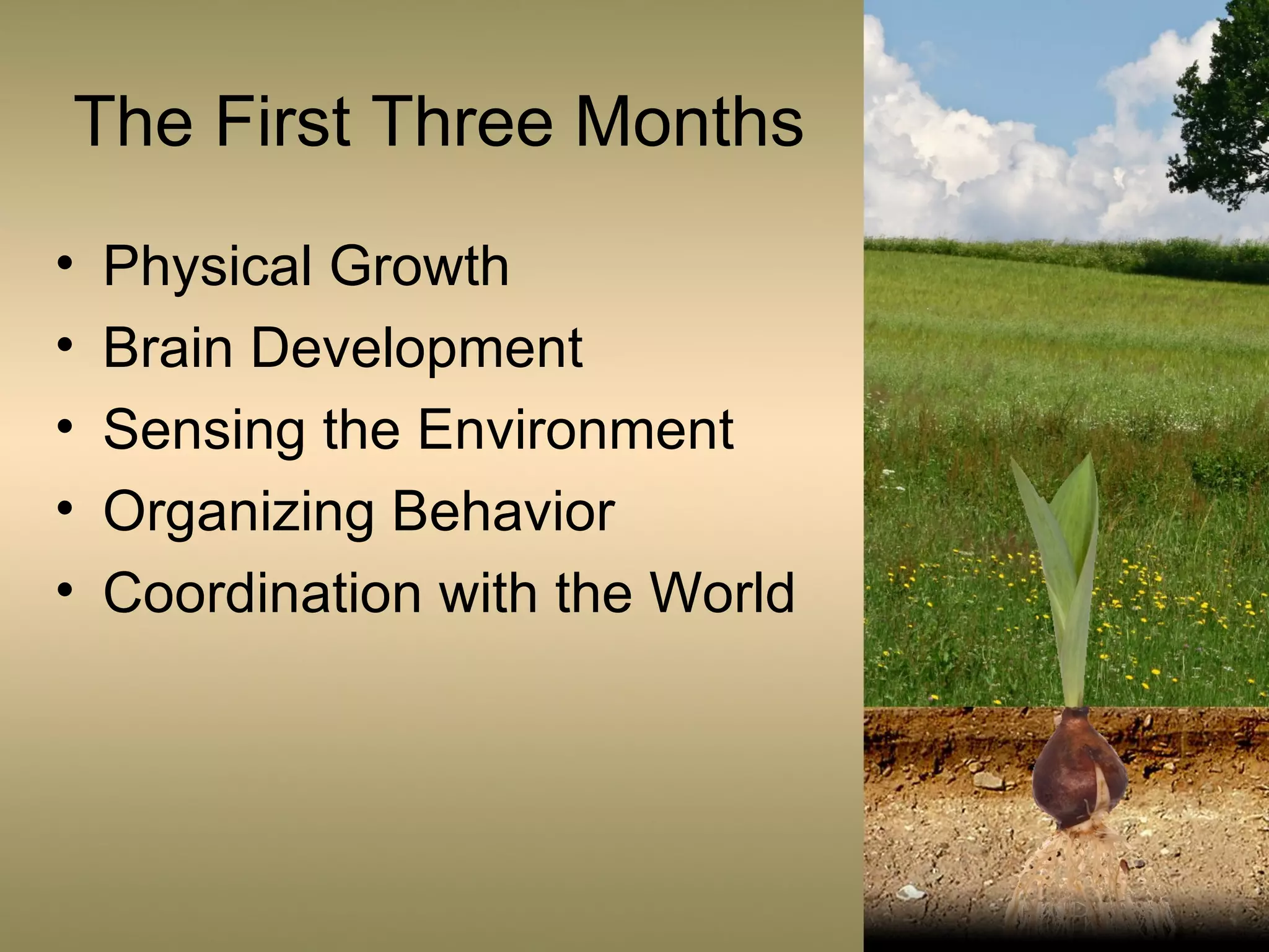 Infancy Early Childhood Phys Soc | PPT