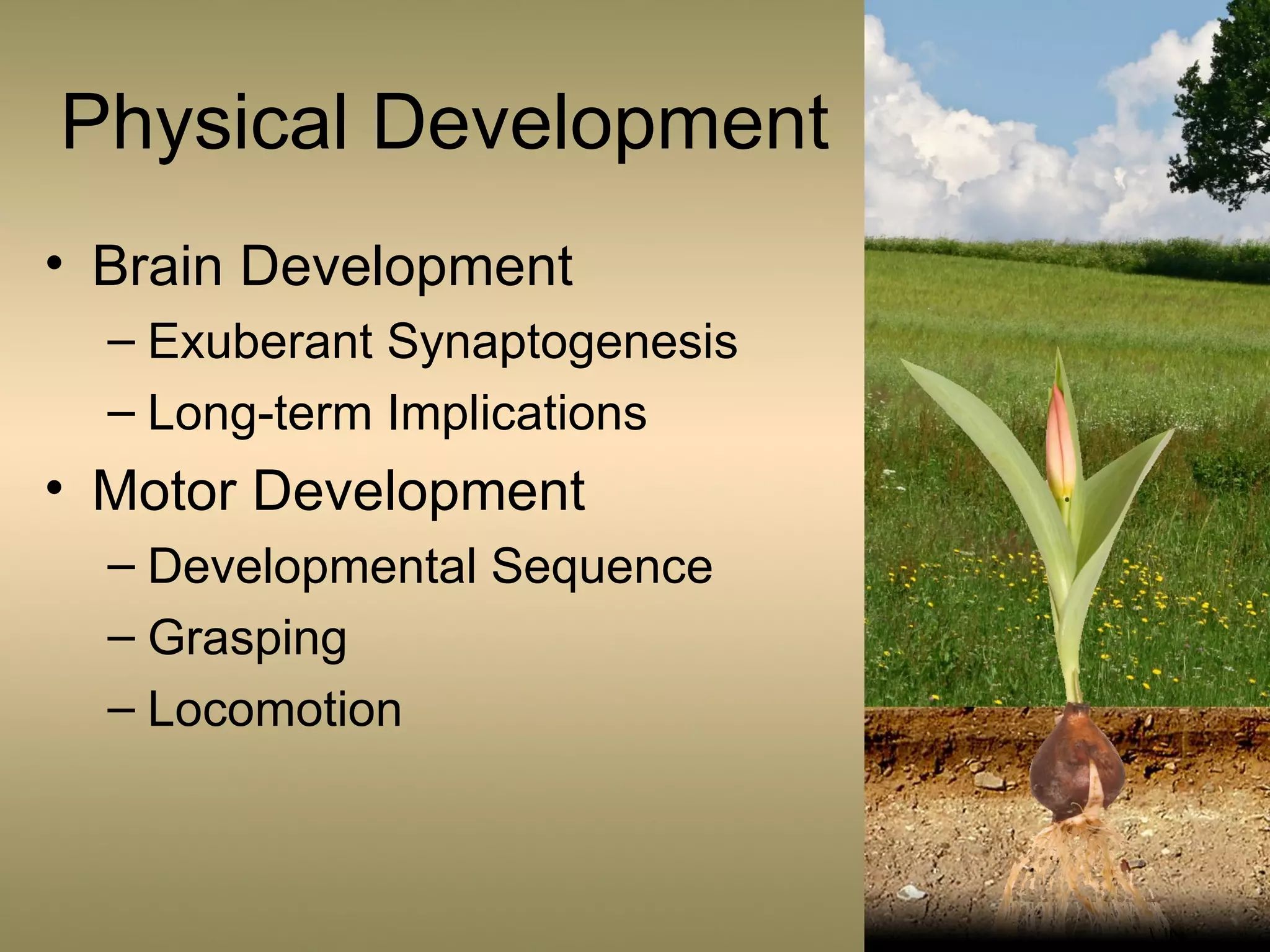 Infancy Early Childhood Phys Soc | PPT