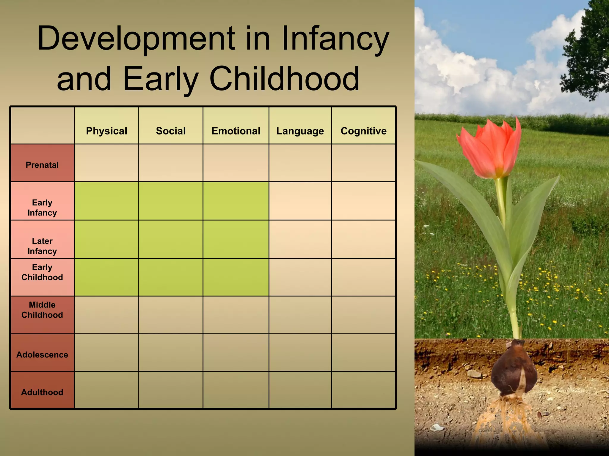 Infancy Early Childhood Phys Soc | PPT