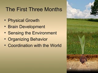 Infancy Early Childhood Phys Soc | PPT
