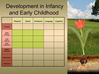 Infancy Early Childhood Phys Soc | PPT