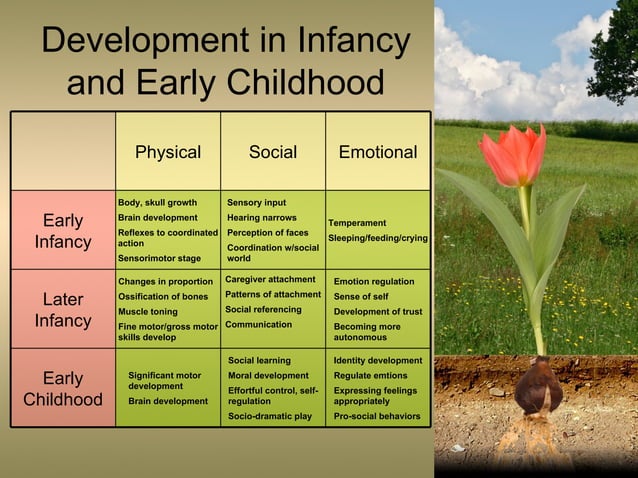 Infancy Early Childhood Phys Soc | PPT