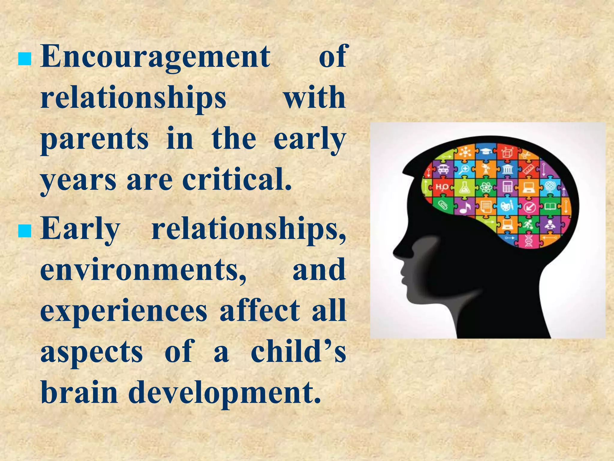Infant brain development | PPT