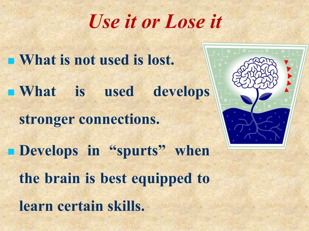 Infant brain development | PPT | Brain and Nervous System Disorders | Diseases and Conditions