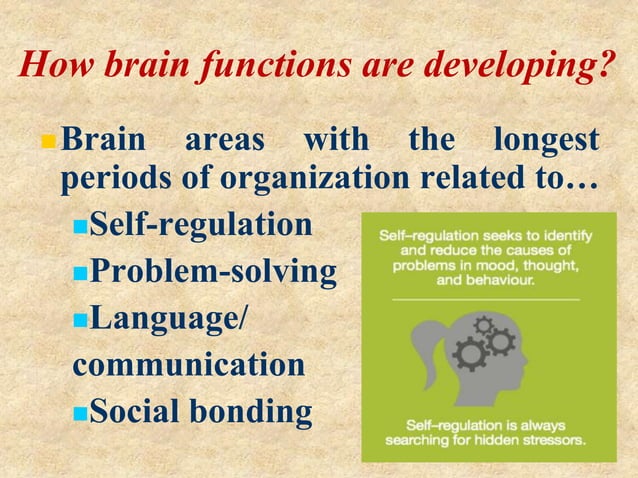 Infant brain development | PPT | Brain and Nervous System Disorders | Diseases and Conditions