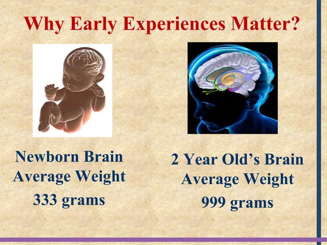 Infant brain development | PPT | Brain and Nervous System Disorders | Diseases and Conditions