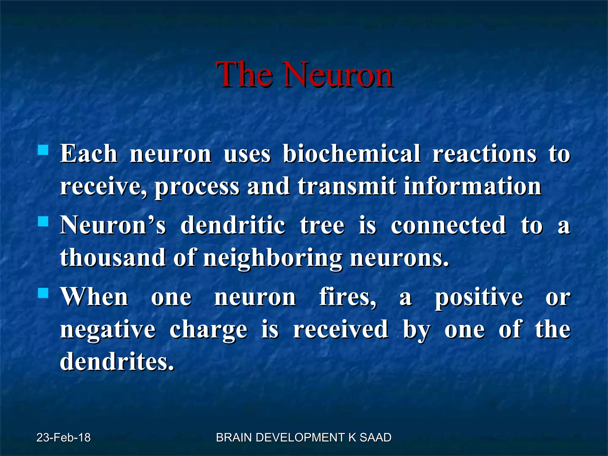 Infant brain development | PPT