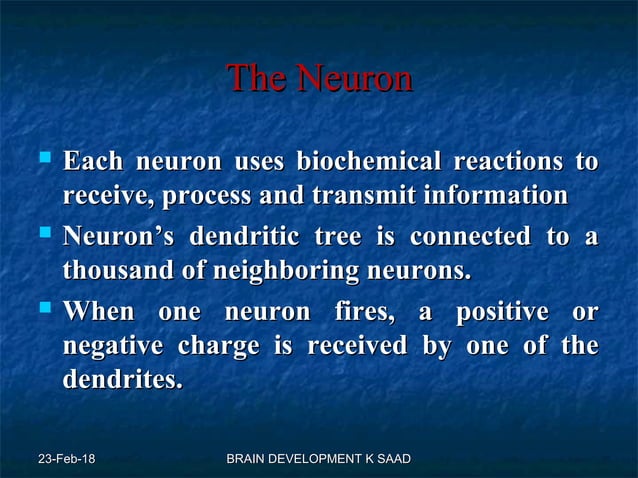 Infant brain development | PPT | Brain and Nervous System Disorders | Diseases and Conditions