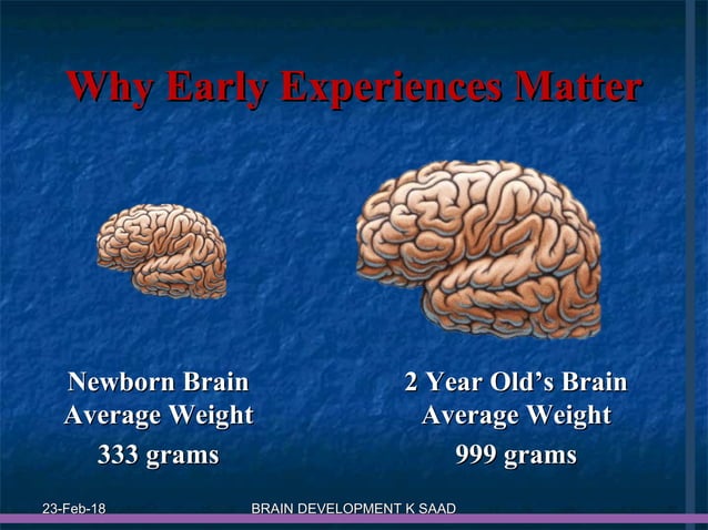 Infant brain development | PPT | Brain and Nervous System Disorders | Diseases and Conditions