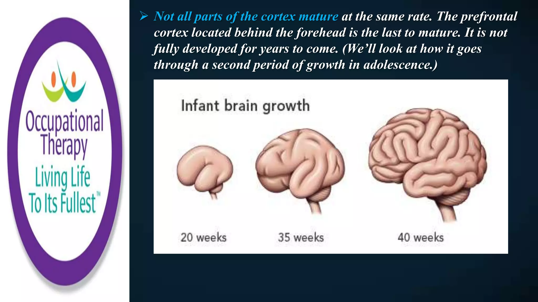 Lifespan Development - Infant and early childhood development | PPT