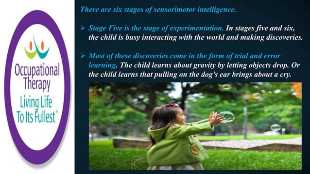 Lifespan Development - Infant and early childhood development | PPT