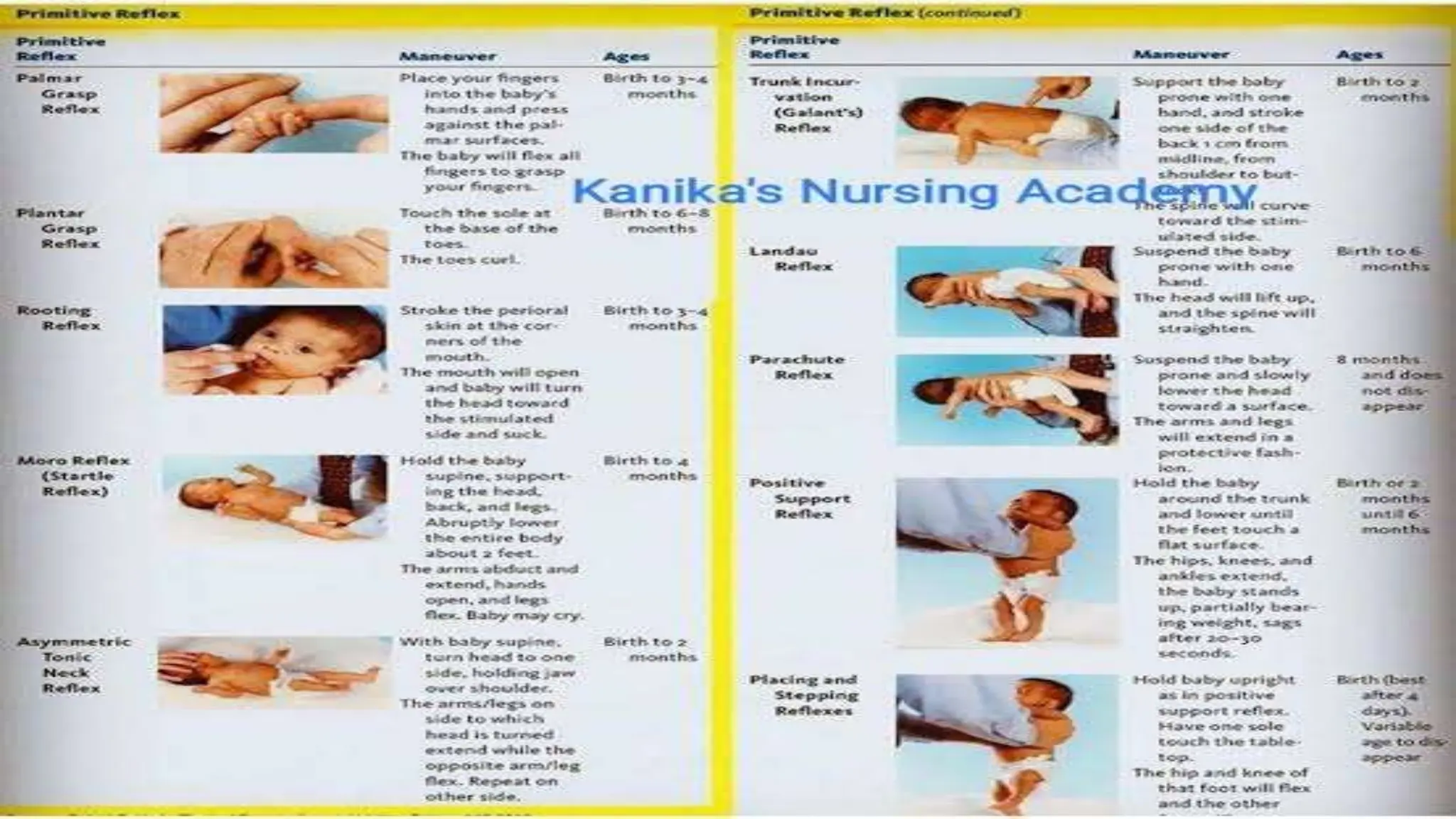 infant assessment fdbbdbdddinal ppt.pptx