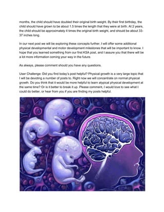 Infant brain | PDF
