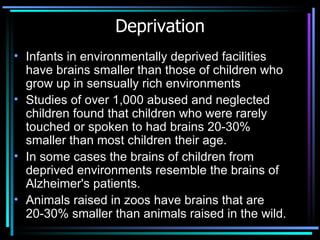 Infant Brain Development | PPT