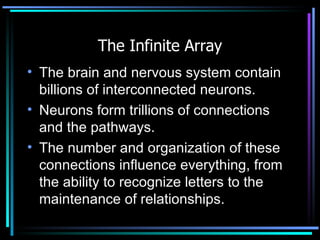 Infant Brain Development | PPT