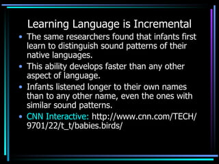 Infant Brain Development | PPT