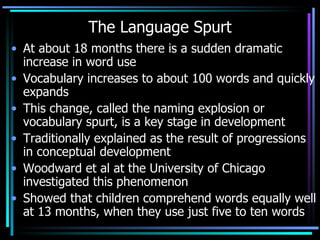 Infant Brain Development | PPT