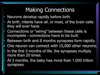 Infant Brain Development | PPT
