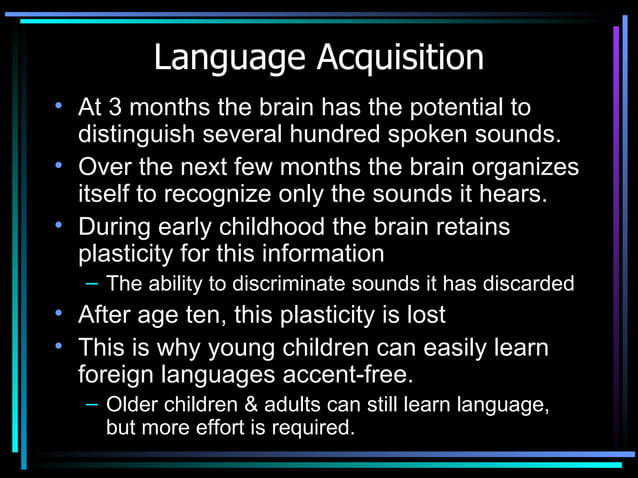 Infant Brain Development | PPT | Parenting Babies and Toddlers | Parenting