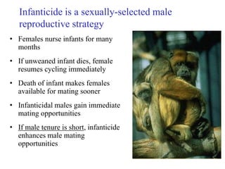 Infanticide | PPTX