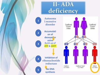 Infantile autism done by Ibb university .pptx
