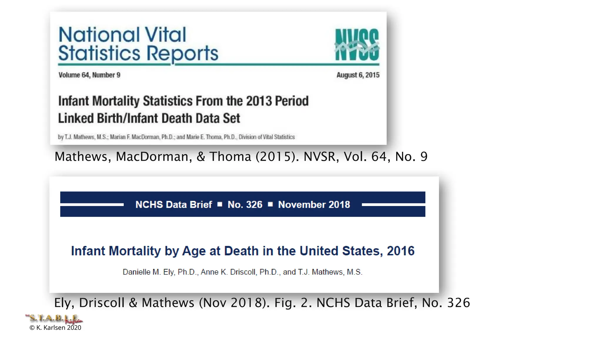 InfantMortalityInTheUSAnOverview_2019.pptx