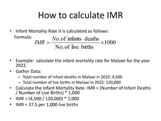 Infant Mortality Rate.pptx | Pregnancy | Reproductive Health