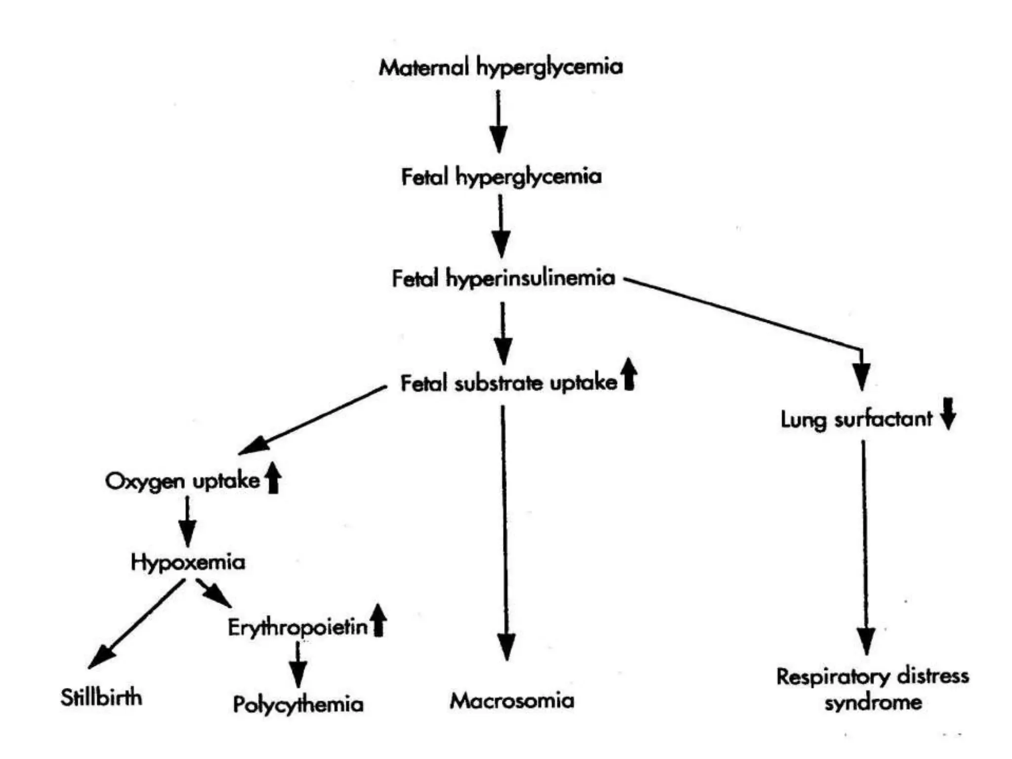 Infant of diabetic mother | PPTX